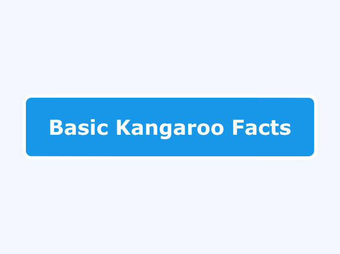 Basic Kangaroo Facts - Mind Map